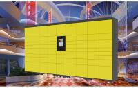 China Metal School Storage Luggage Lockers with Smart Locks Different Payment Devices Access for sale