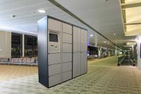 China Advanced English Multi Language Dry Cleaning Locker Systems For Indoor / Outdoor for sale