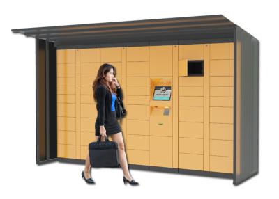 China Automatic Barcode Luggage Rental Lockers , Indoor Electronic Lockers For Park Supermarket for sale