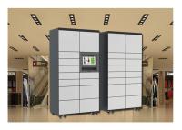 China Supermarket Park Cabinet Rental Lockers , Pin Code Electronic Smart Storage Lockers for sale