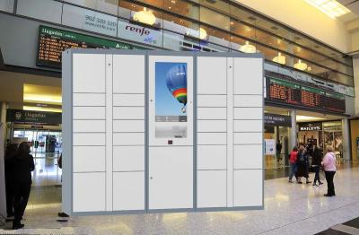 China Smart CRS Electronic Public Rental Lockers Rental With Different Payment Devices Languages UI for Airport for sale