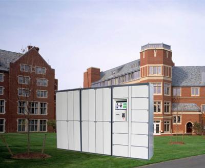 China Secure Automatic Self Service Laundry Room Storage Lockers Dry Cleaning Locker With Credit Card Paying for sale