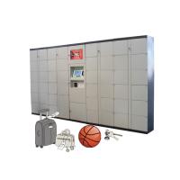 China Smart Click & Collect Luggage Lockers Self Pickup Locker with CE FCC Certificate for sale