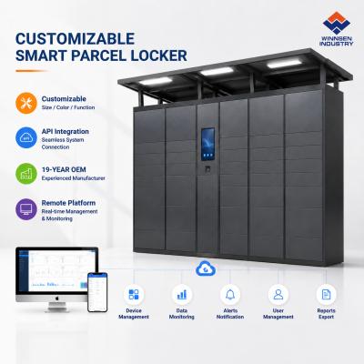 China Customizable Multi Language Smart Parcel Locker with 15