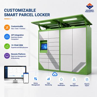China Winnsen Smart Parcel Locker with 15.6