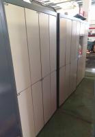 China Technical Support Laundry Service Locker With Electronic Lock Control System and Dry Cleaning Locker Systems for sale