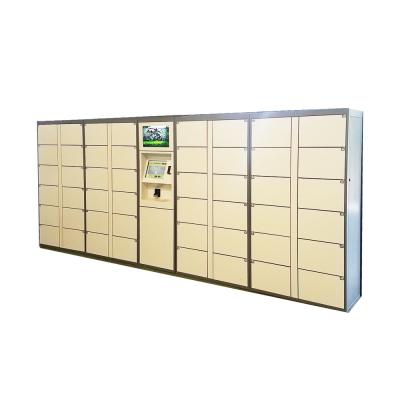 China Electronic Express Smart Parcel Lockers With Logistic Distribution System For Retail Store for sale