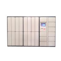 China Technical Support Laundry Service Locker With Electronic Lock Control System and Dry Cleaning Locker Systems for sale