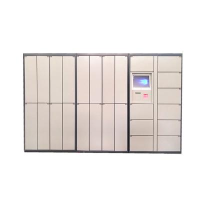 China Technical Support Laundry Service Locker With Electronic Lock Control System and Dry Cleaning Locker Systems for sale