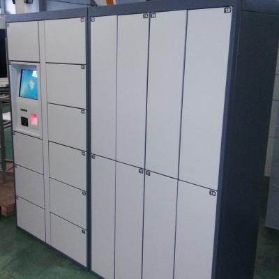 China Metal Gym Storage Clothes Locker , 9 Door Steel Changing Room Dress Locker for sale