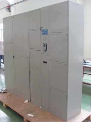 China Public Rental Touch Screen Locker For Luggage , Fingerprint Storage Lockers For Lounge for sale