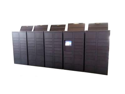 China Electronic Laundry Locker With Hanger And Remote Platform For Indoor Public Place Camera Optional for sale