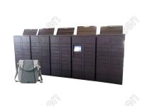 China Remote Manage Parcel Delivery Lockers Click And Collect for sale