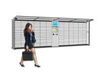 China Remote Manage Parcel Delivery Lockers Click And Collect for sale