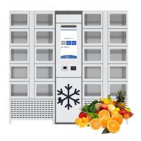 China Remote Control Refrigerator Locker for sale