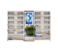 China Multi Compartments 100v Industrial Vending Lockers for sale