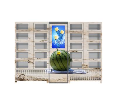 China Multi Compartments 100v Industrial Vending Lockers for sale