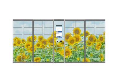 China Intelligent Electronic Locker For Out Door Parcel Delivery With Phone App Integration Online Shopping for sale