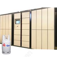 China Smart Outdoor LPG LNG Vending Locker Gas Exchange Cylinder Click And Collect Credit Card Payment for sale