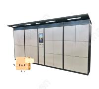 China Smart 24 Hours Wifi LPG LNG Vending Lockers Gas Exchange Cylinder Barcode Password Credit Card Payment for sale