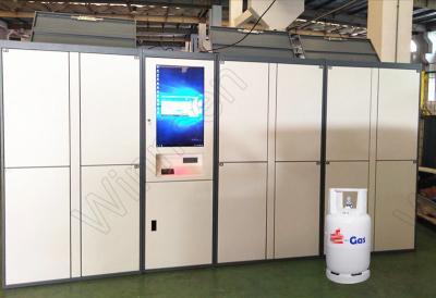China Smart 24 Hours Wifi LPG LNG Vending Lockers Gas Exchange Cylinder Barcode Password Credit Card Payment for sale