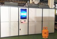 China Smart 24 Hours Wifi LPG LNG Vending Locker Gas Exchange Cylinder Vegetables Fruits Credit Payment for sale