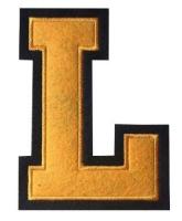 China Custom embroidery chenille Hot Selling Promotion Custom Patch Embroidery patches for clothing for sale
