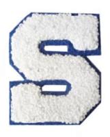 China Custom embroidery chenille Hot Selling Promotion Custom Patch Embroidery patches for clothing for sale