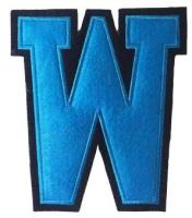 China Custom embroidery chenille Hot Selling Promotion Custom Patch Embroidery patches for clothing for sale