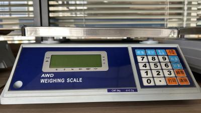 China 30kg Digital Weighing Scale for Body Scales with 4v Rechargeable Battery and Range for sale