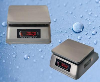 China 1/2g 2/5g Division Electronic Digital Weighing Scale for sale