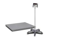 China Single Layer Carbon Steel 300kg Floor Weighing Scale for sale