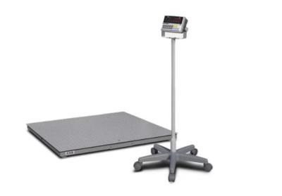 China Single Layer Carbon Steel 300kg Floor Weighing Scale for sale