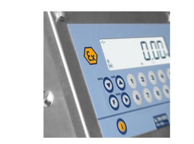 China Anti-Corrosion Stainless Steel Pan Bench Weighing Scale for sale