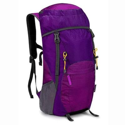 China Custom Fashion Lightweight Nylon Tactical Hiking Camping Backpack for sale