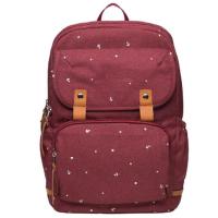 China Polyester School Backpack With Chest Strap For Teen Girls Boys for sale