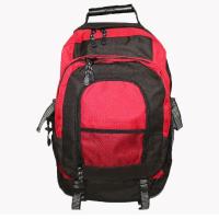 China 36L 56L Polyester Outdoor Sports Backpack For Hiking for sale