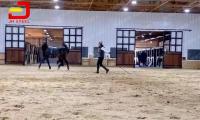 China Door Front Panel Black Steel Fencing Farm Horse Stable Box With Feeder Hay Rack for sale