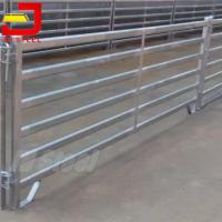 China 6 Bar Demountable 4ft Horse Round Yard for sale