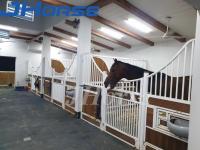 China High Resistant Q195 Horse Stable Fronts European Horse Stall With Steel Tubes for sale