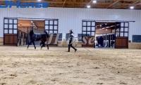 China 3m 3.5m Sling Or Swing Door Portable Horse Stable for sale