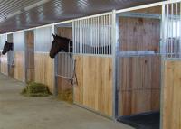 China Ultimate Modular Horse Stall Fronts Bamboo / Pine Infill Option Avaliable OEM for sale