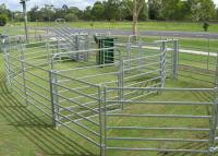 China Livestock Portable Round Yard Panels , Anti Corrosion Round Pen Corral Panels for sale