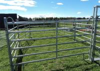 China Light Duty Cattle Yard Panels With Round Pens Pole Pipe Shape Optional for sale