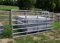China Power Coating Steel Farm Gates 3.0mm - 5.0mm Wire Diameter 25NB Pipe Frame for sale