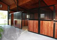 China Hot Dipped Galvanized Large Swing Door Horse Stall Fronts With Window for sale