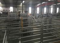 China Fram Stockyard Portable Stock Panels , Welded Steel Heavy Duty Cattle Panels for sale