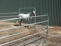 China 1.8x2.1m Low Carbon Steel Cattle Yard Panels CE for sale