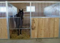 China Farm Outdoor Portable Horse Stall Panels , 2200mm Height Horse Stable Gates for sale
