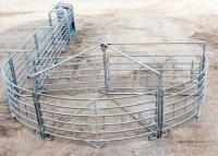 China Powder Coated Livestock Handling Equipment 8ft Adjustable Cattle Alleyway for sale